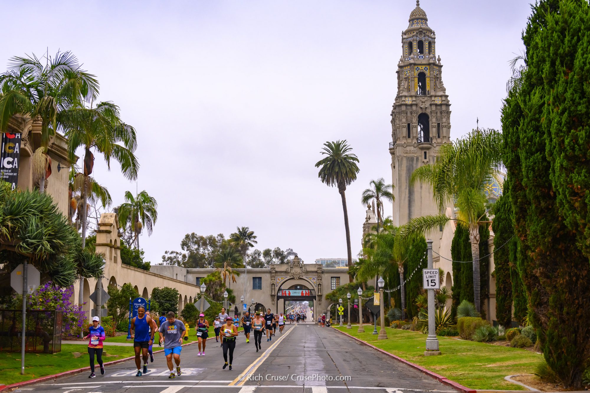 Congratulations on Finishing the San Diego Half Marathon or 5K… What’s ...