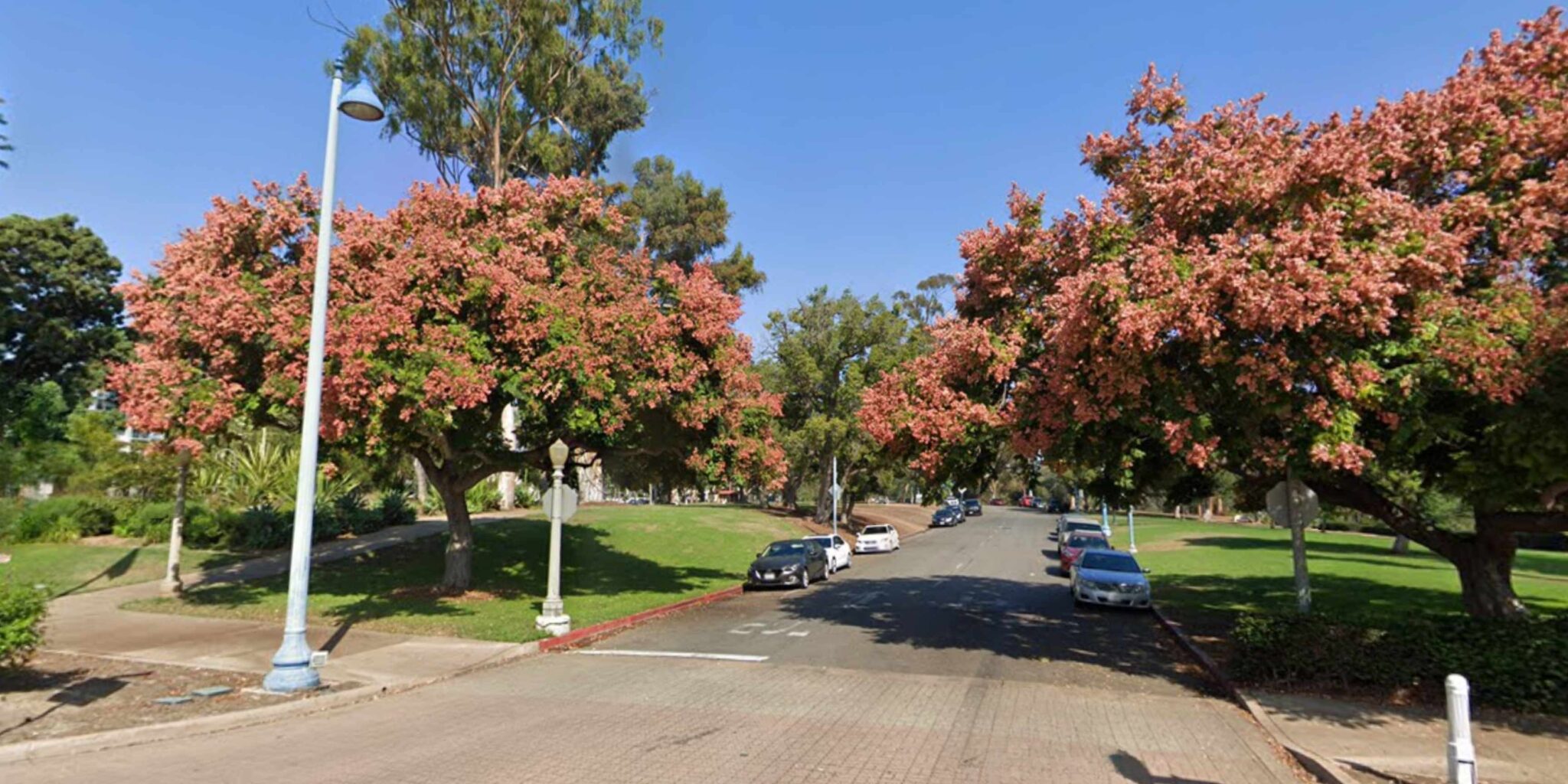 2025 America’s Finest City 5K Course Overview | In Motion Events